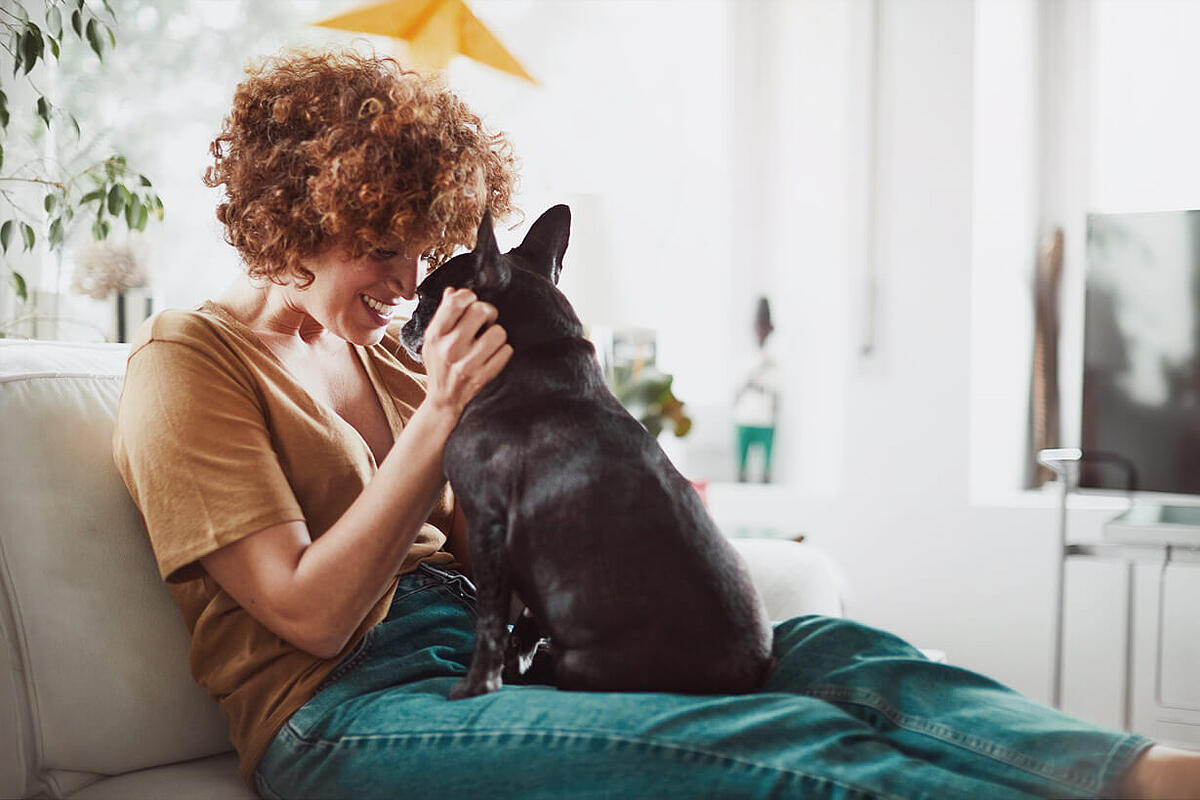 Hundesprache und Hundekommunikation